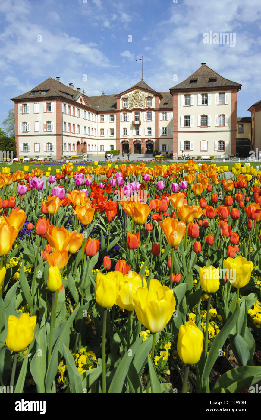 Mainau island hi-res stock photography and images - Alamy