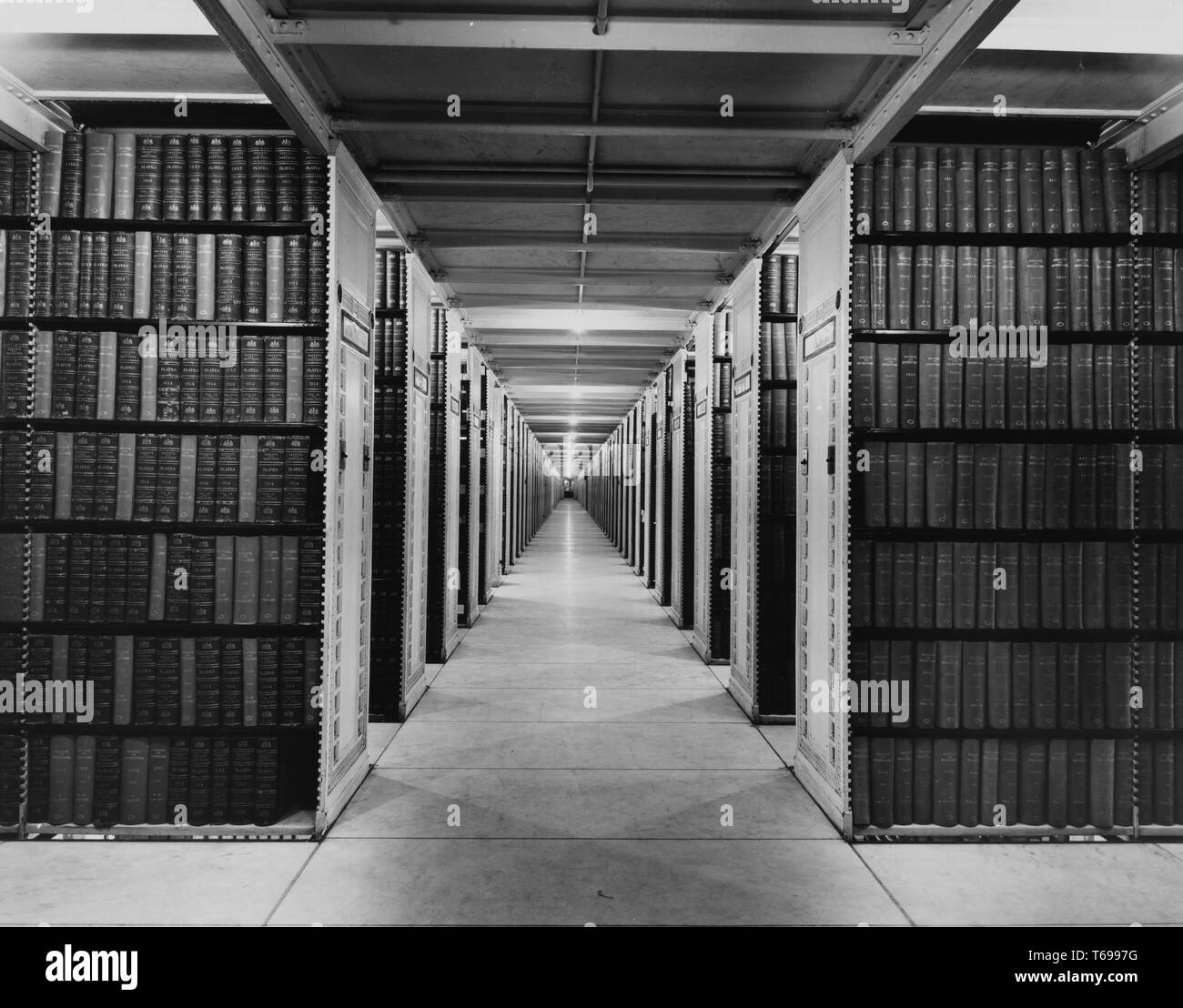 Black And White Library Photography