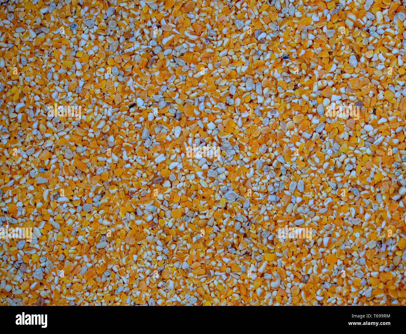 Close-up photography of corn kernels in pieces, captured at the ...