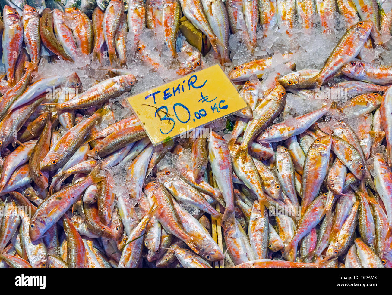 Striped red mullet for sale at a market in Istanbul, Turkey Stock Photo ...