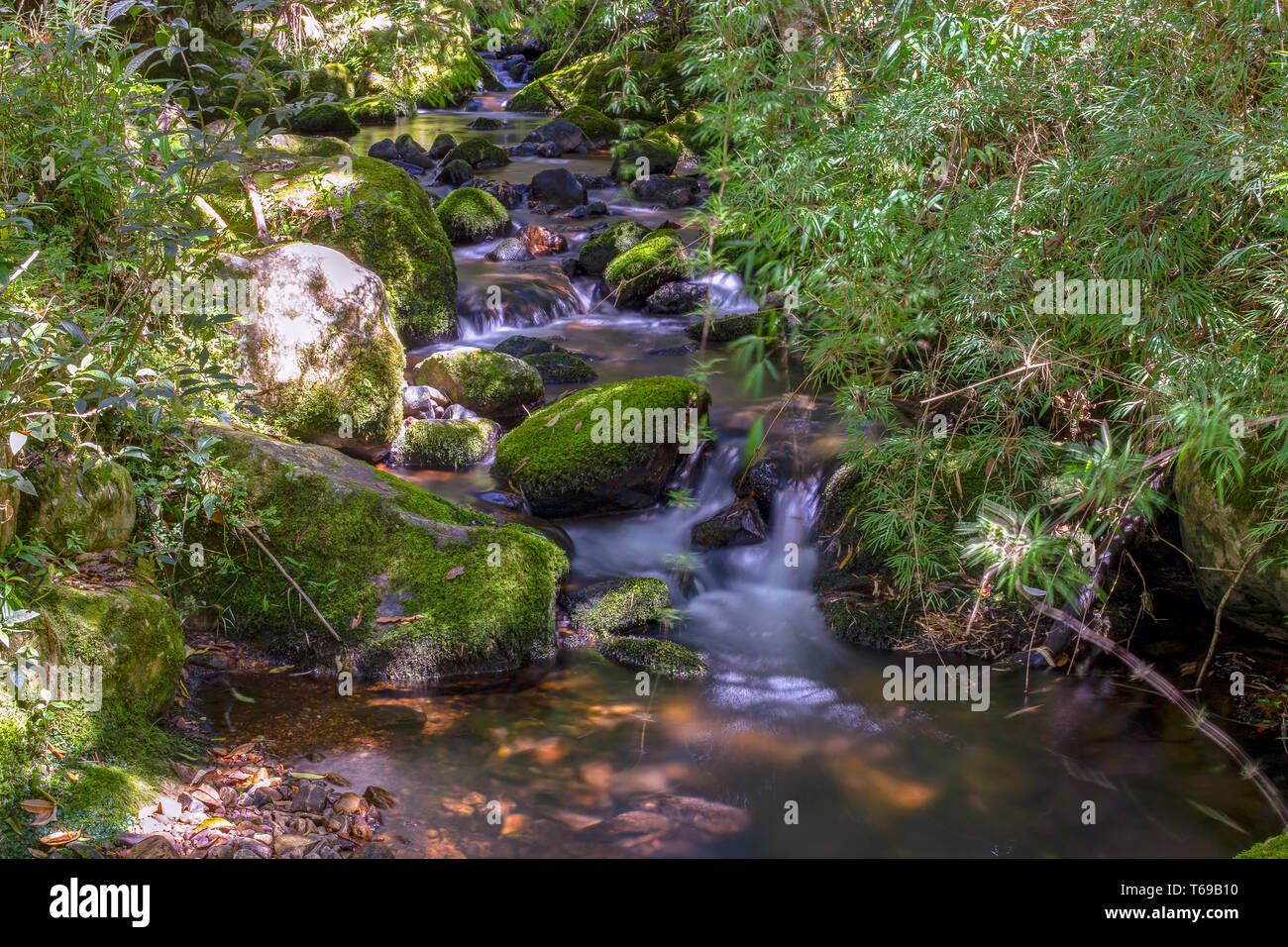 Multiple exposure of different spots of a ravine with rocks covered in ...