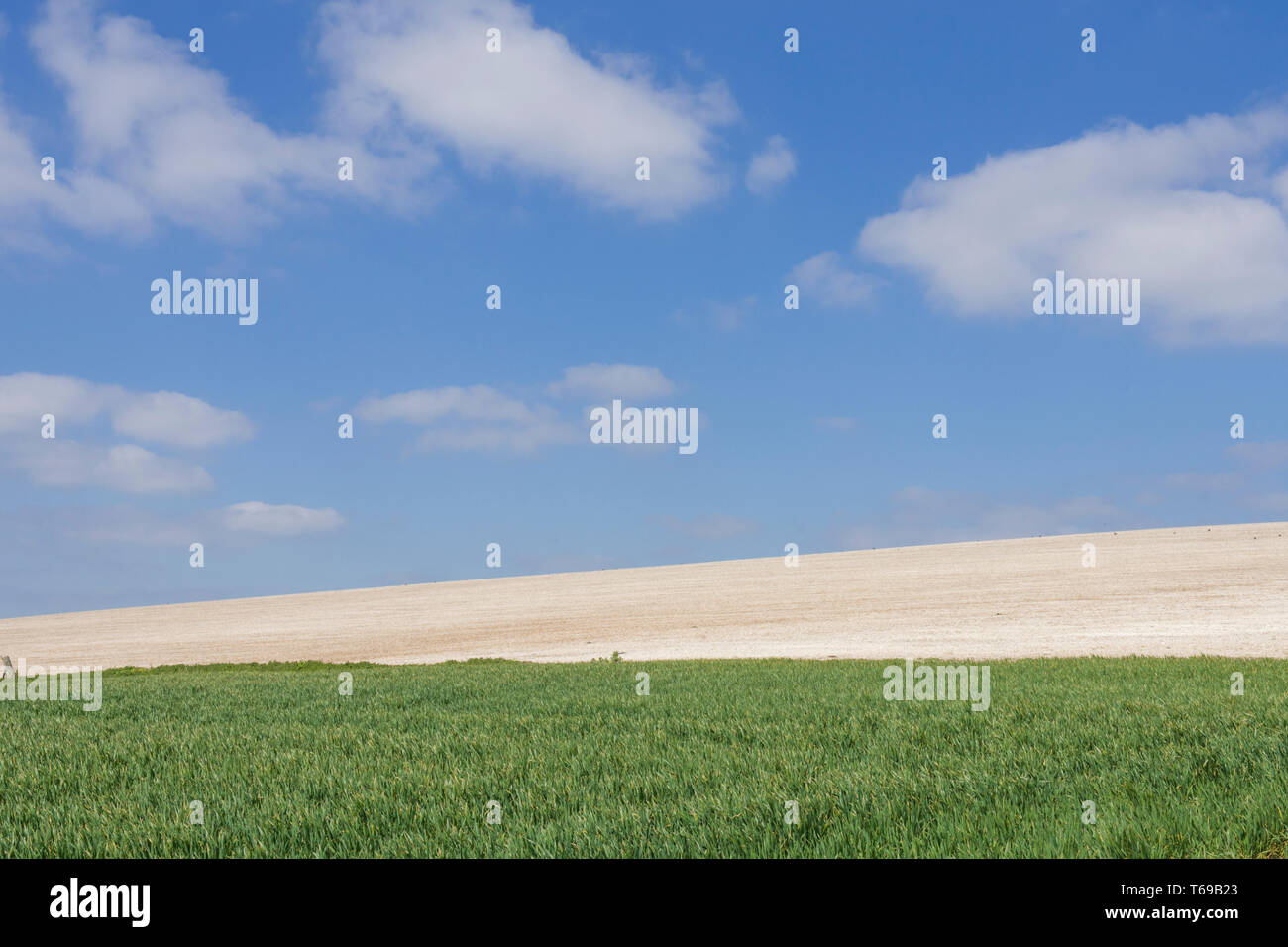 Chalk downs hi-res stock photography and images - Alamy