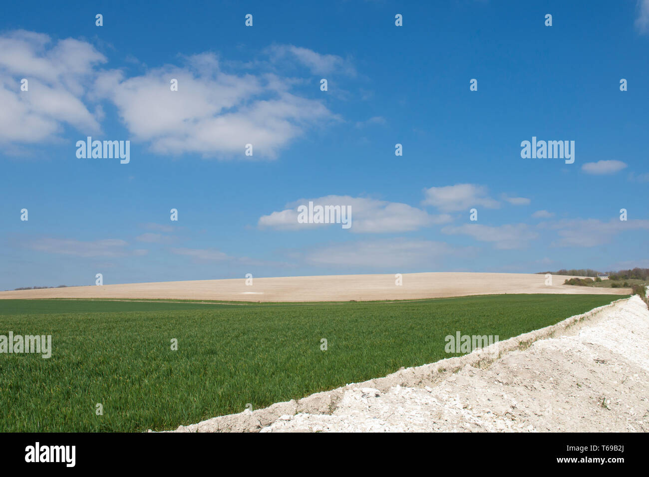 Crops fields uk hi-res stock photography and images - Alamy