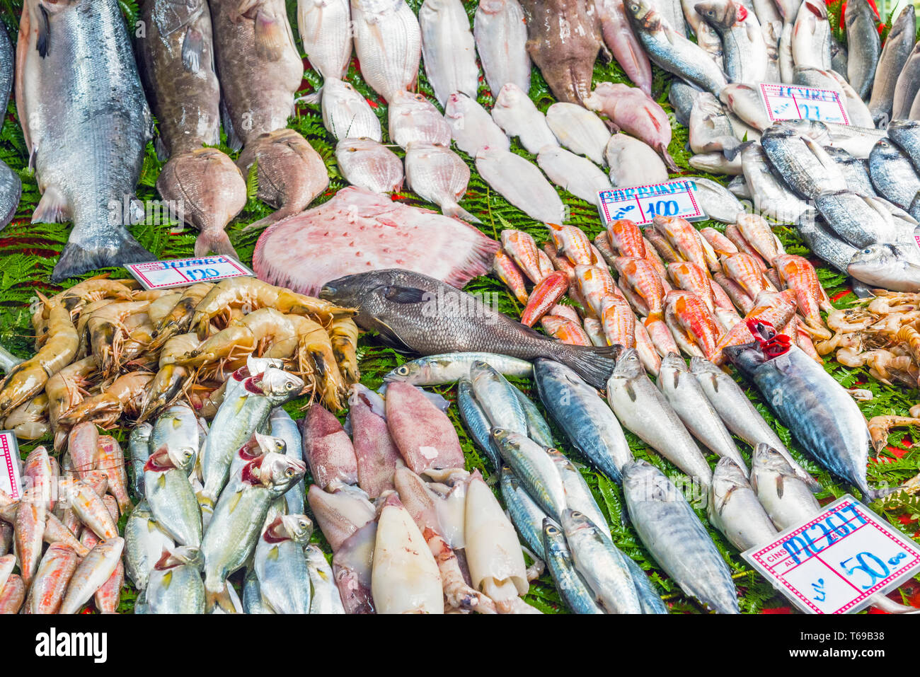 Fish market in kadikoy istanbul hi-res stock photography and images - Alamy