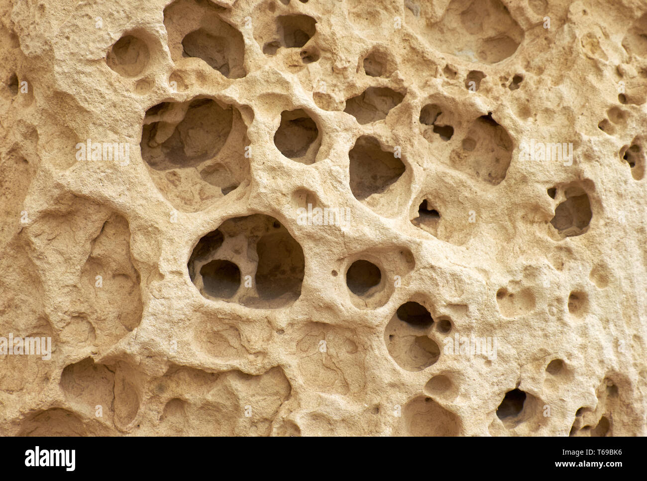 The cavernous globigerina limestone injured by the severe weathering ...