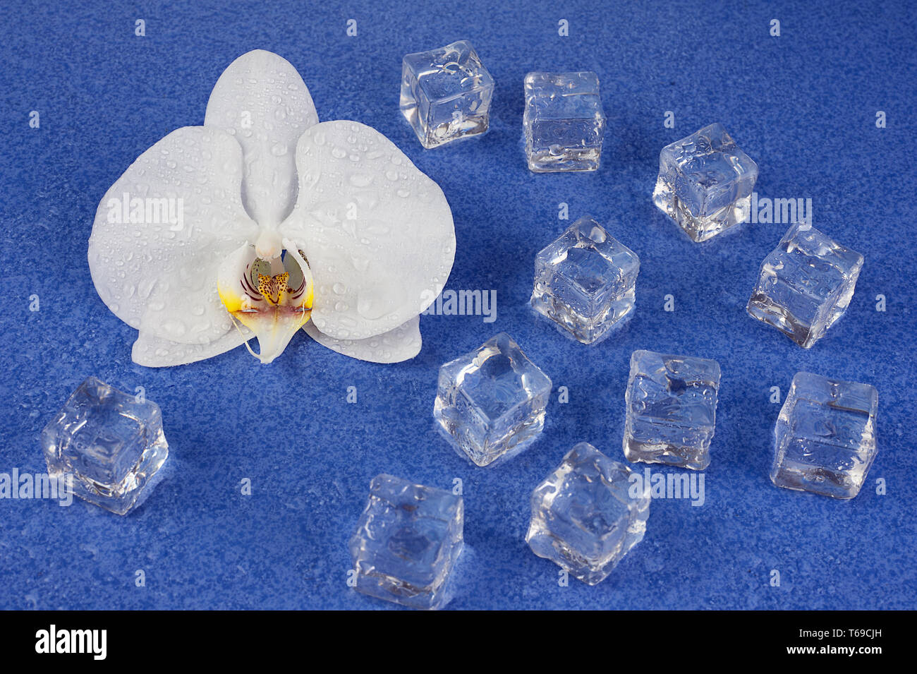 Ice blue background hi-res stock photography and images - Alamy