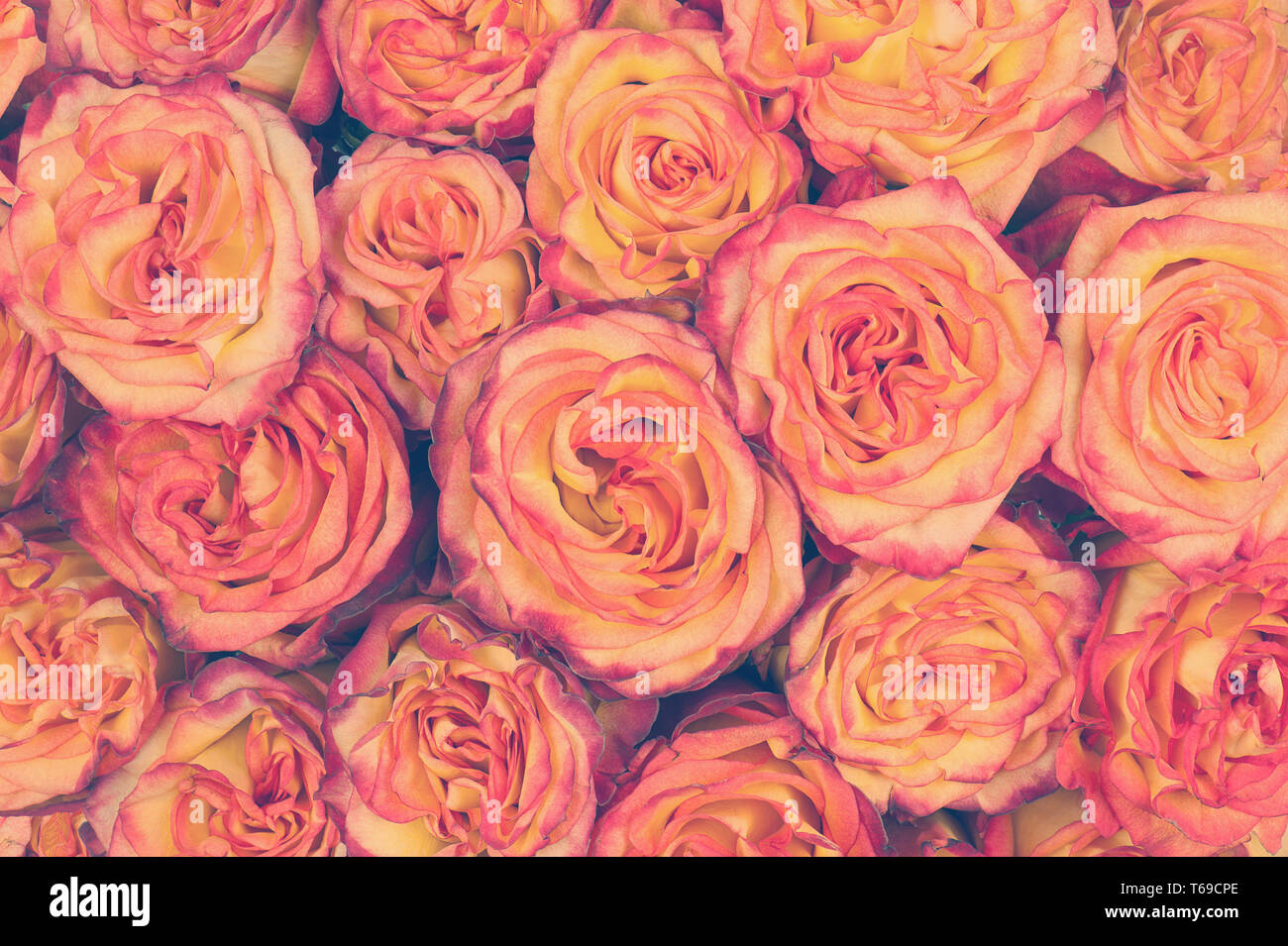 Colorful flower bouquet from roses in vanilla tones Stock Photo - Alamy