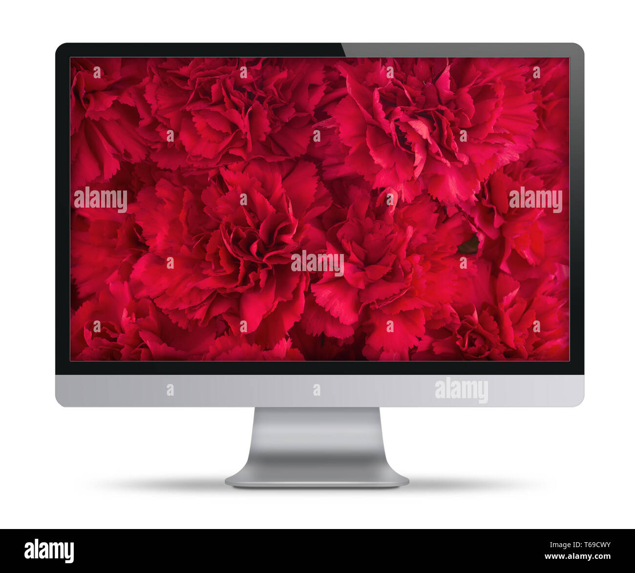 Carnation display Cut Out Stock Images & Pictures - Alamy