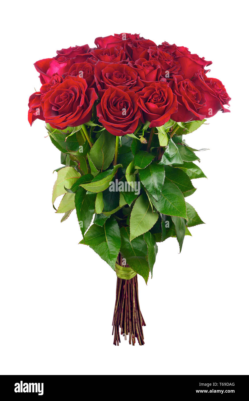 Beautiful colorful roses Cut Out Stock Images & Pictures - Alamy