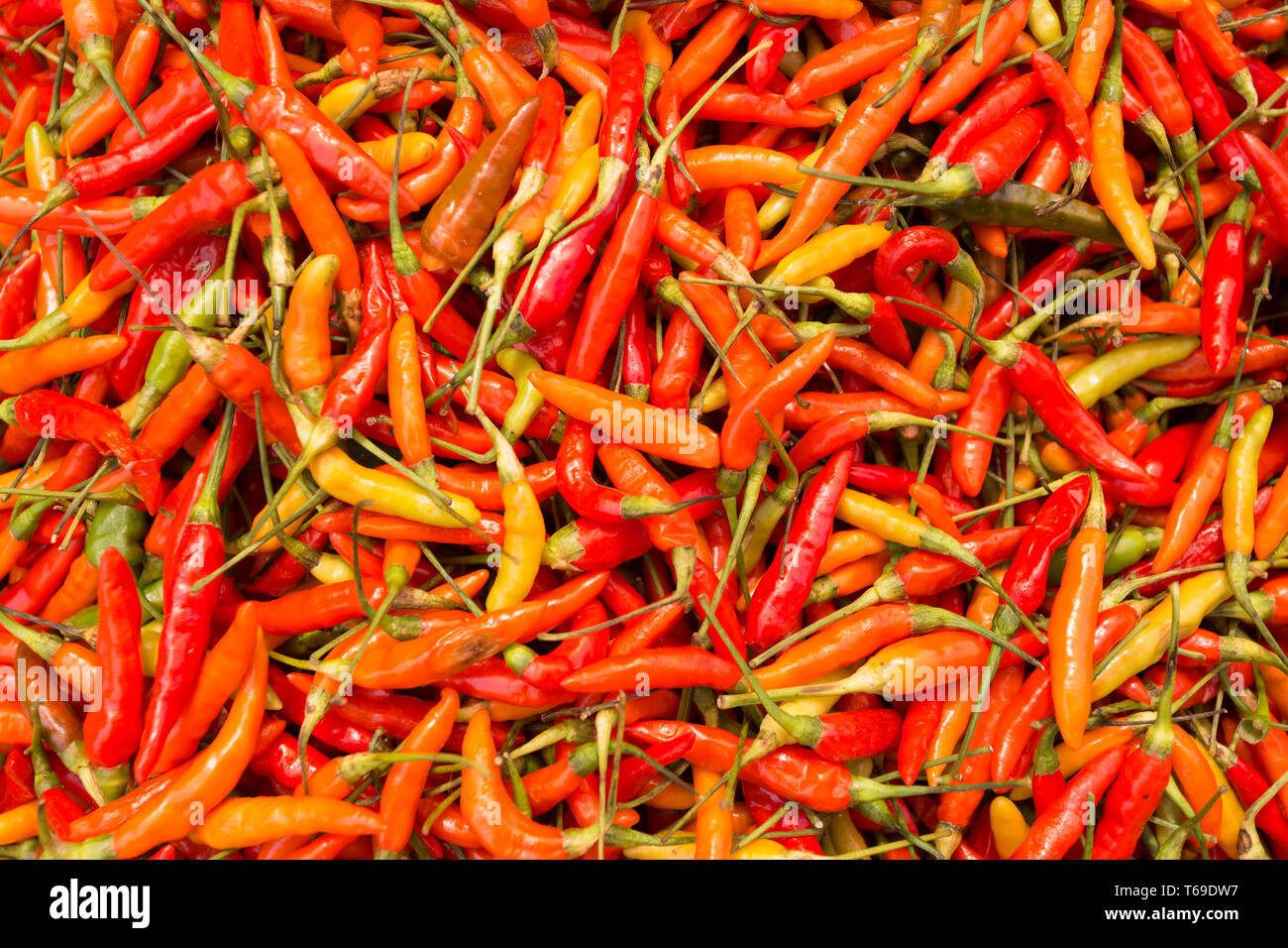 Peppers Texture High Resolution Stock Photography and Images - Alamy