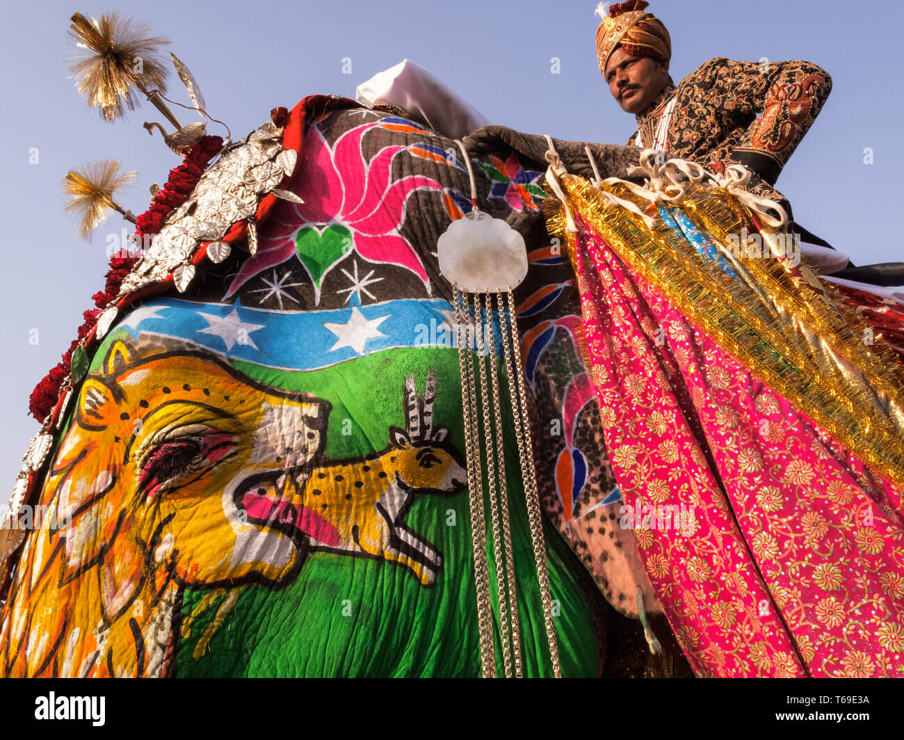 Colorful painted elephant and driver in performers parade for the ...