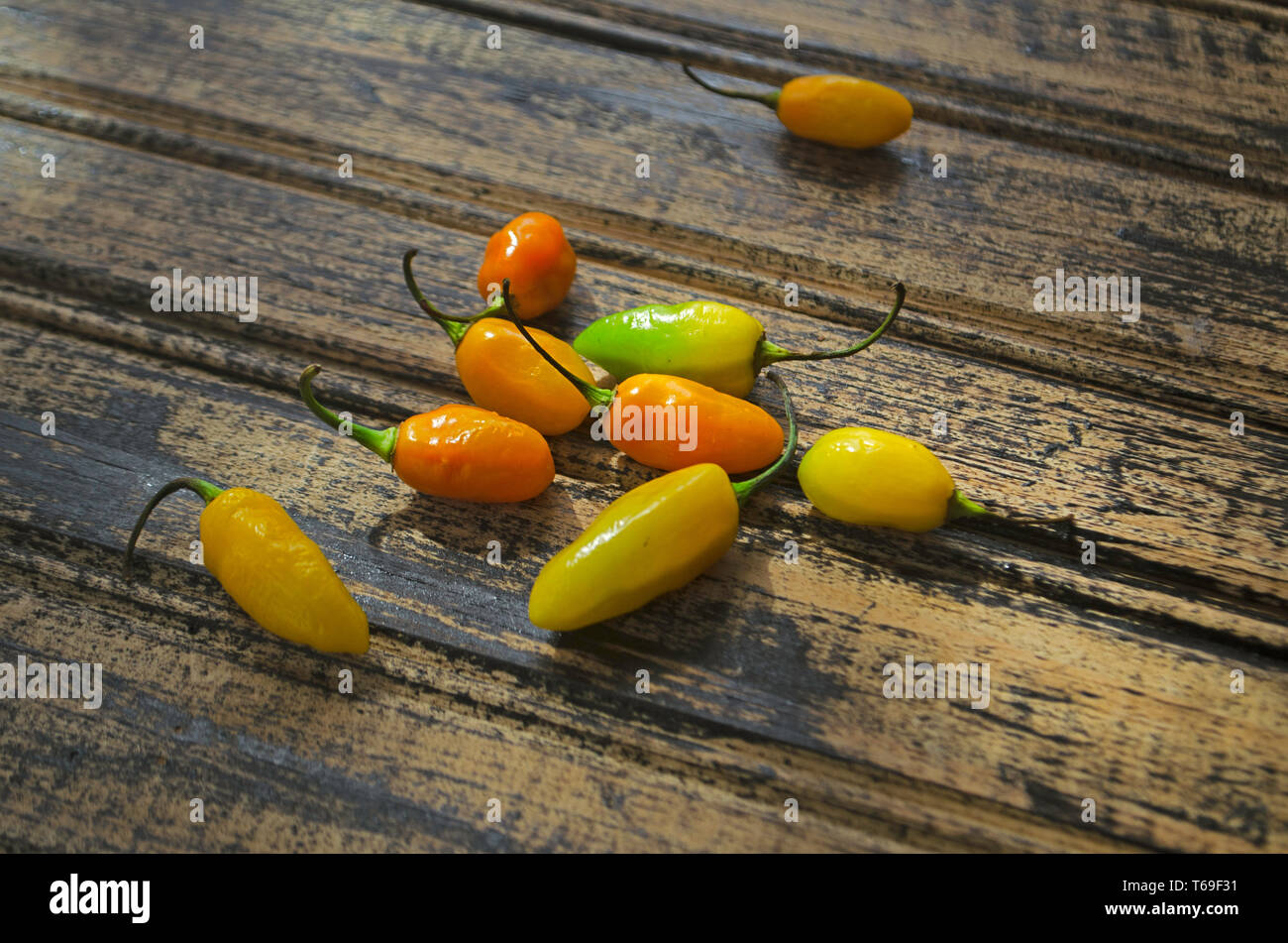 Colors and aromas of peppers Stock Photo - Alamy