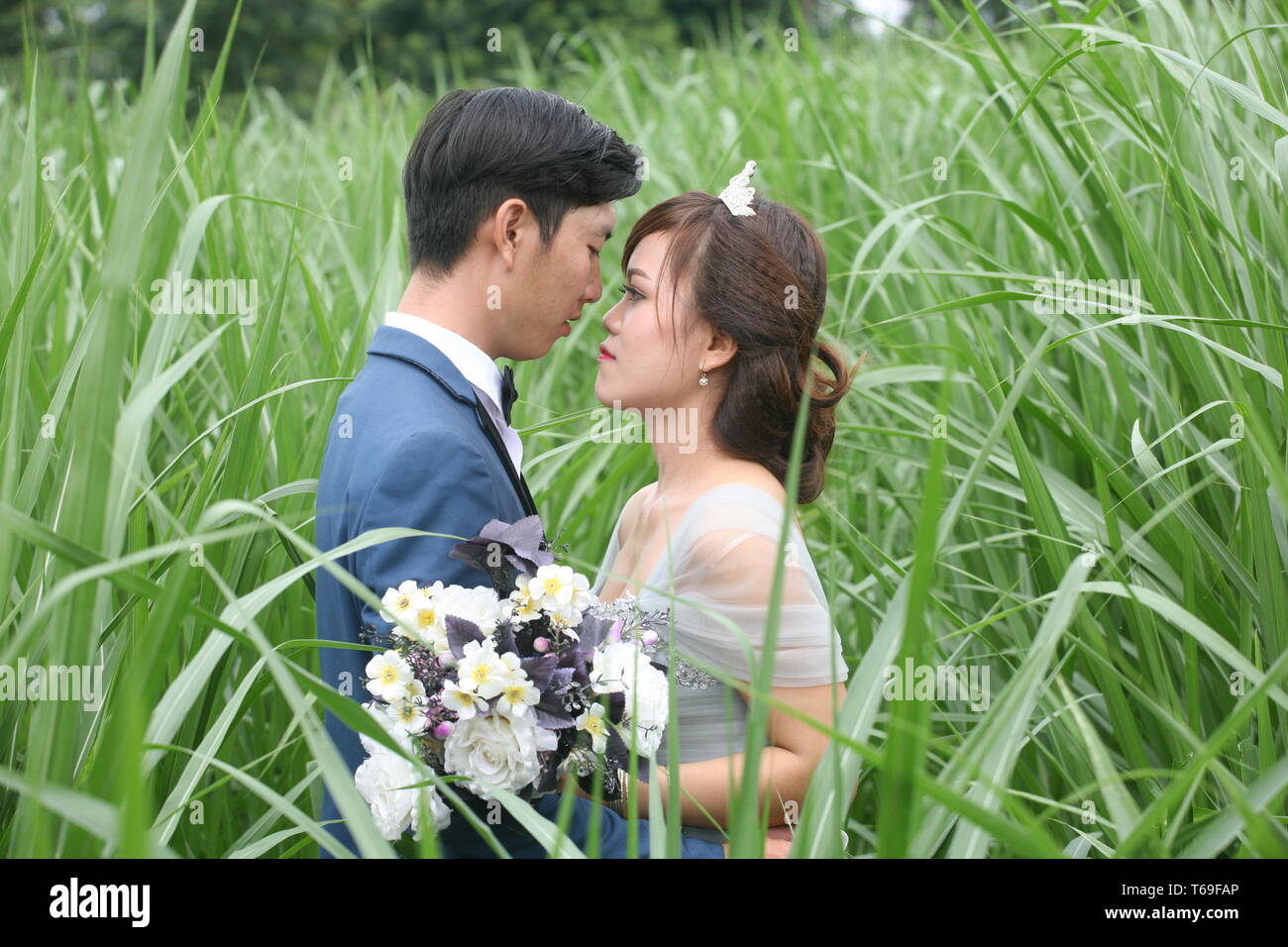 photo of the bride and groom looking at each other Stock Photo - Alamy