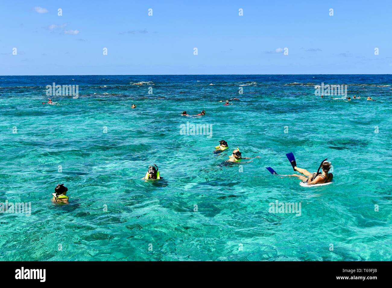 Buck island snorkeling adventure, St. Croix, USVI Stock Photo - Alamy