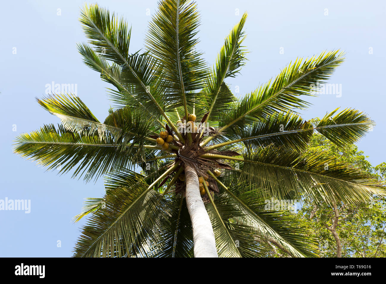 Coco beach antigua hi-res stock photography and images - Alamy
