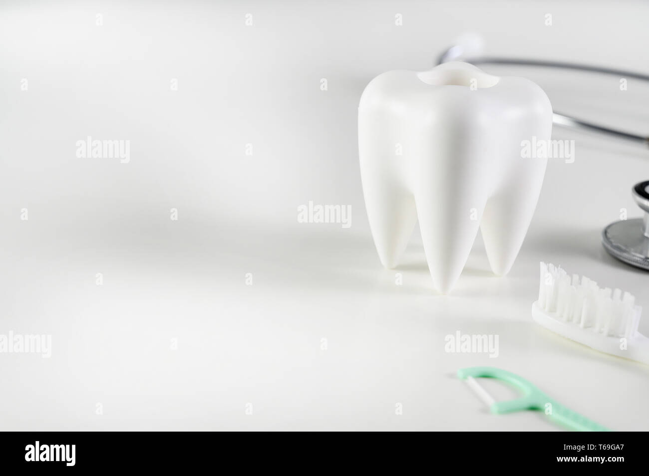 dental concept Dental model and dental equipment dental hygiene Dentist ...