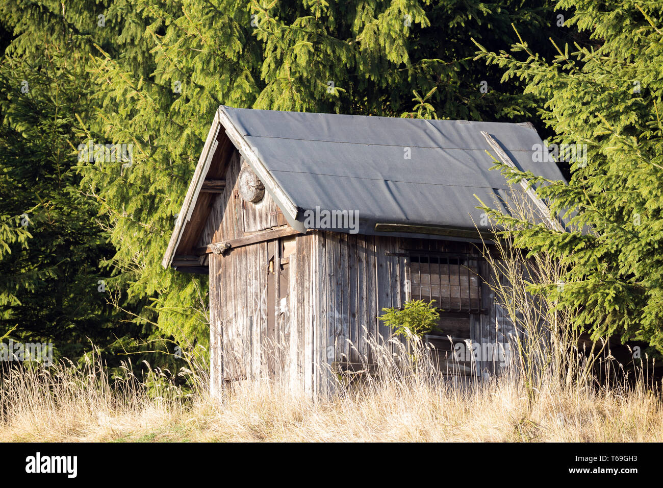 Wooden Hunters Hut Stock Photo - Alamy