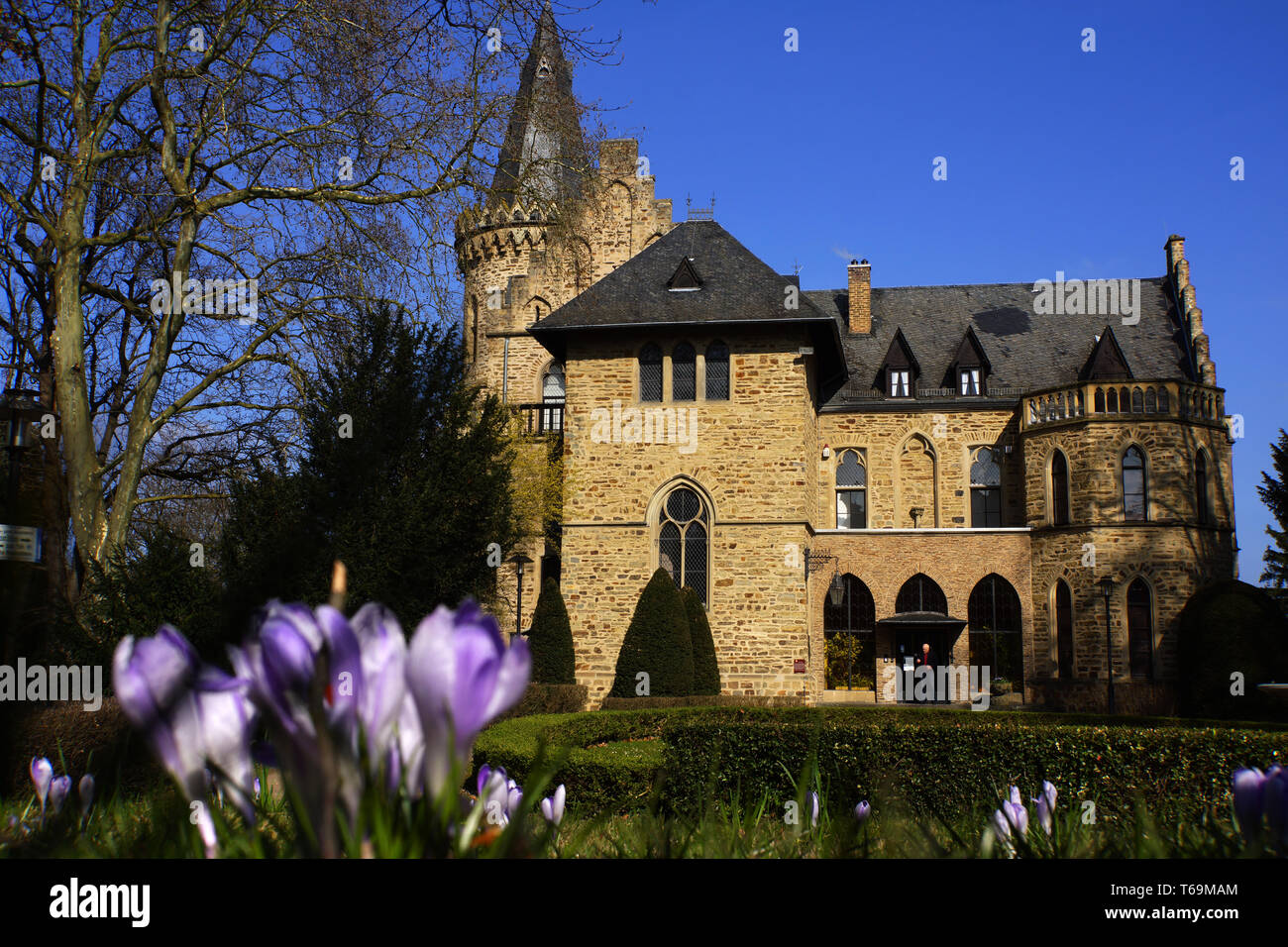 museum of local history in Sinzig castle Stock Photo - Alamy