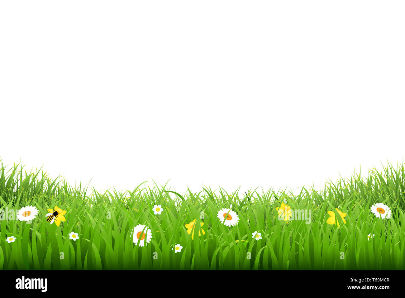 Long grass borders hi-res stock photography and images - Alamy