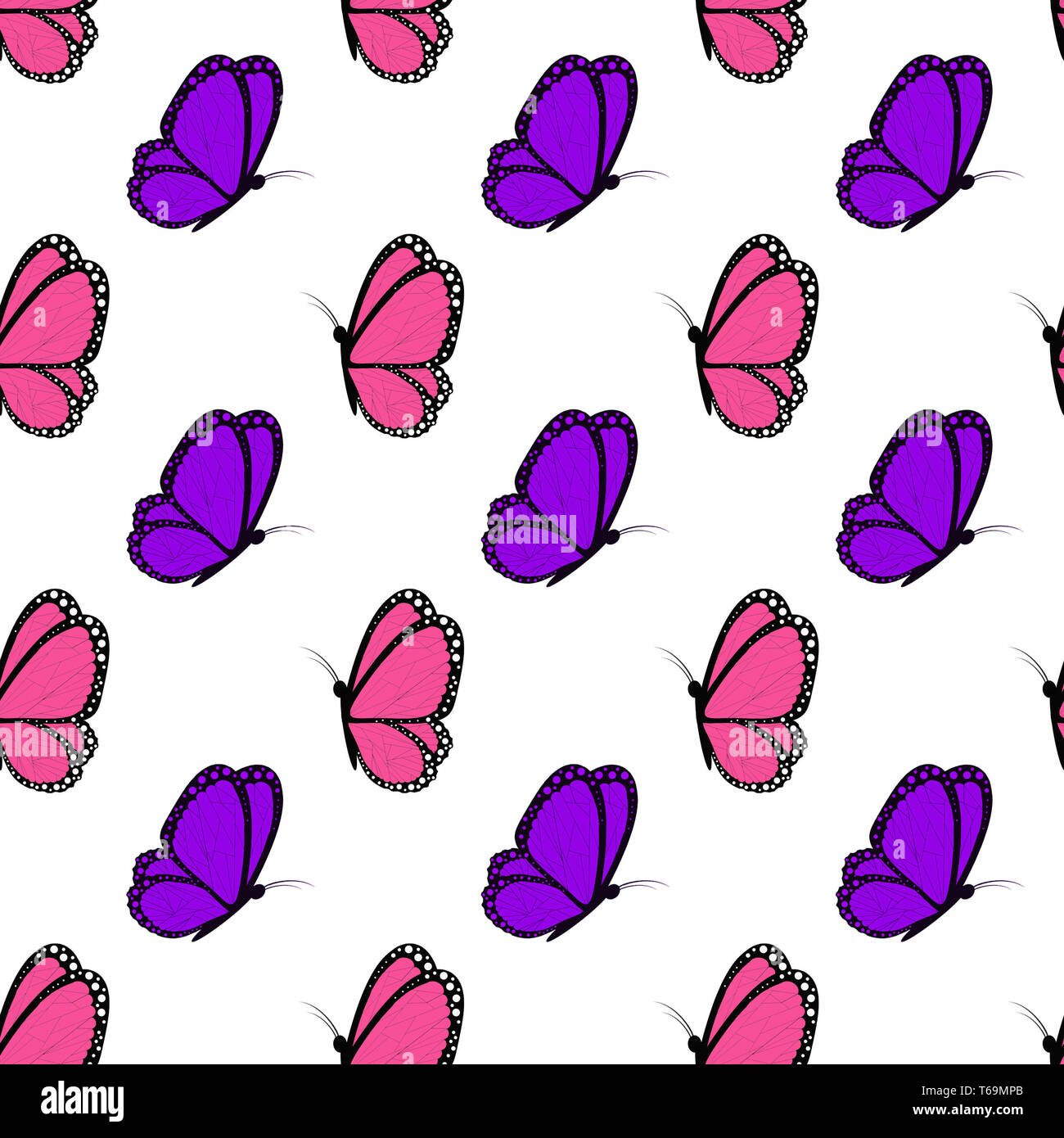 bright pink and violet butterflies Stock Photo - Alamy
