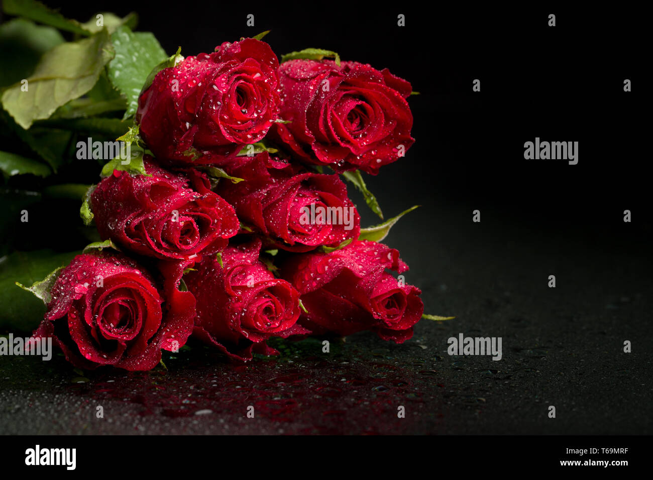 fresh red roses Stock Photo - Alamy