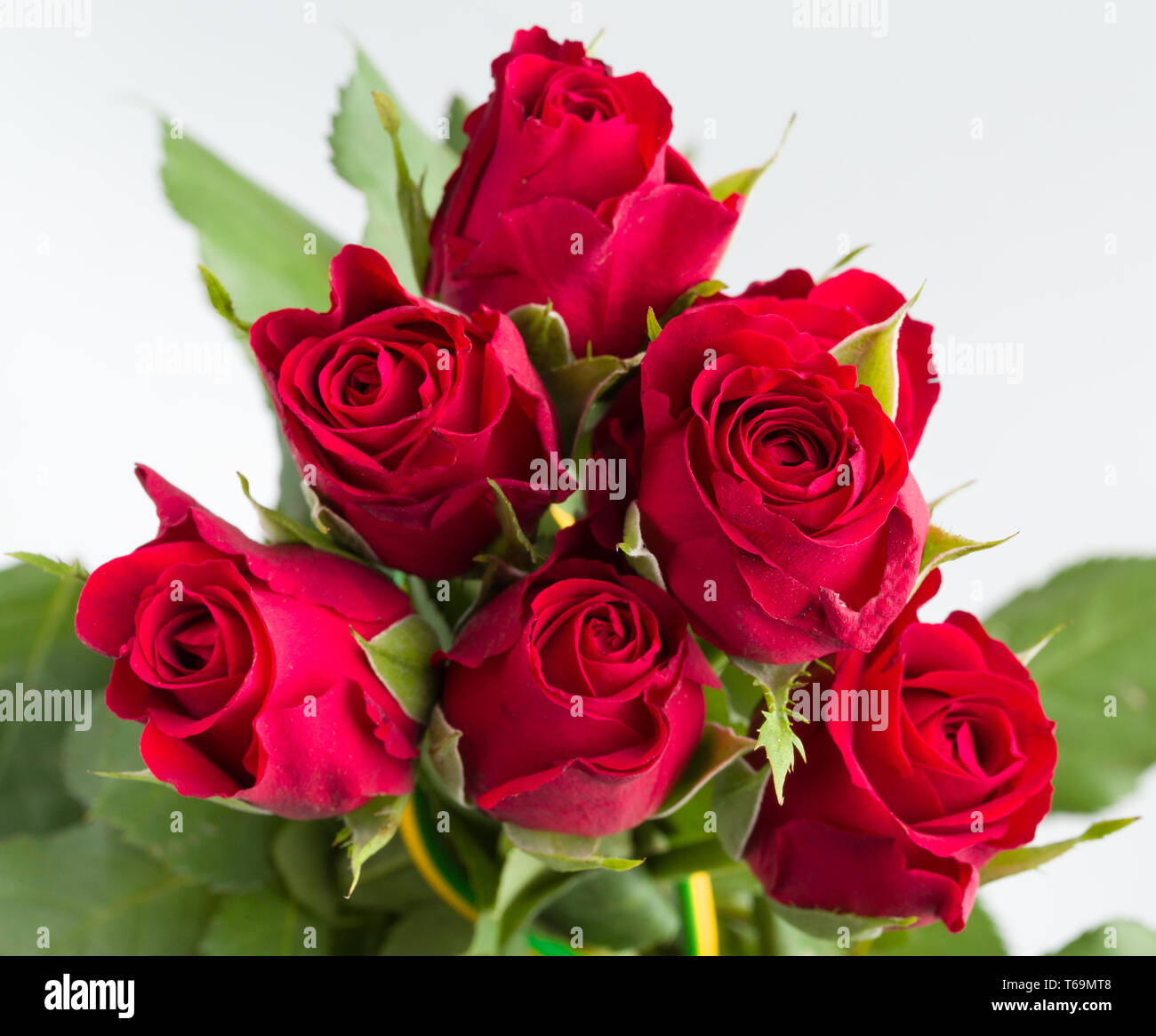 Bouquet of fresh red roses Stock Photo - Alamy