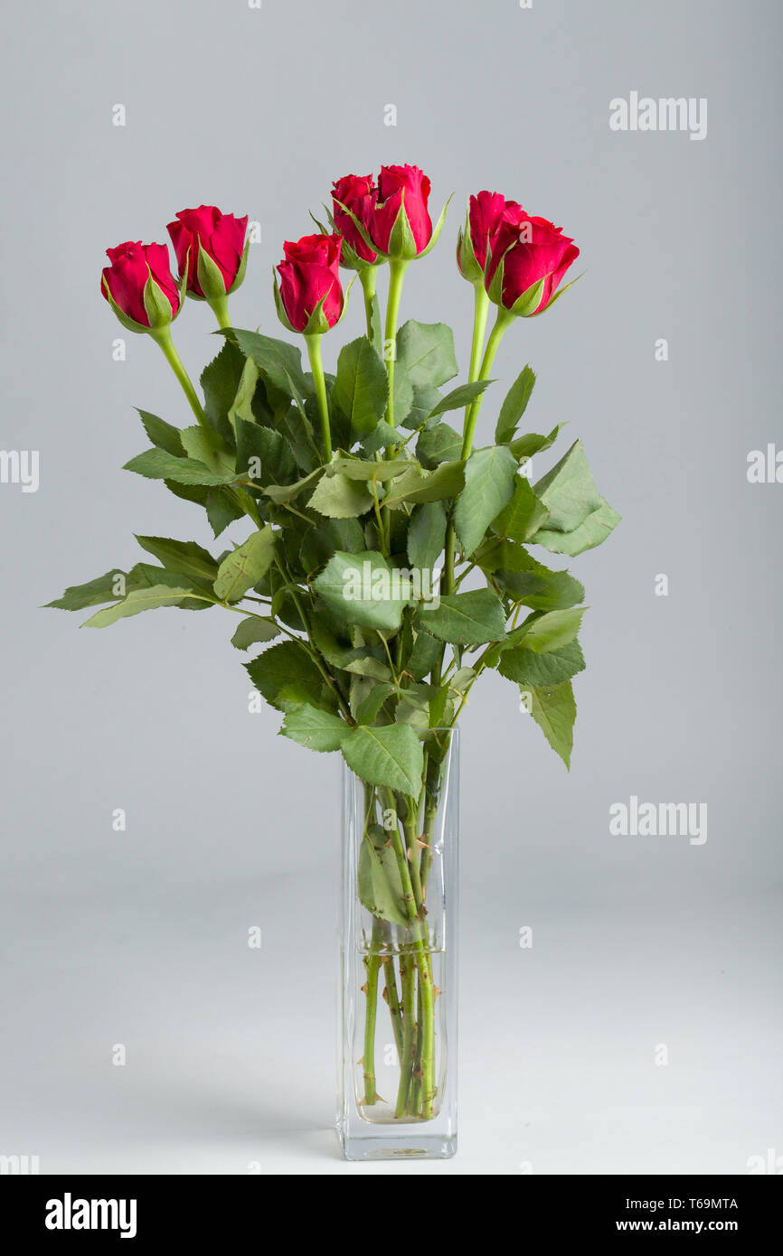 Bouquet of fresh red roses Stock Photo - Alamy