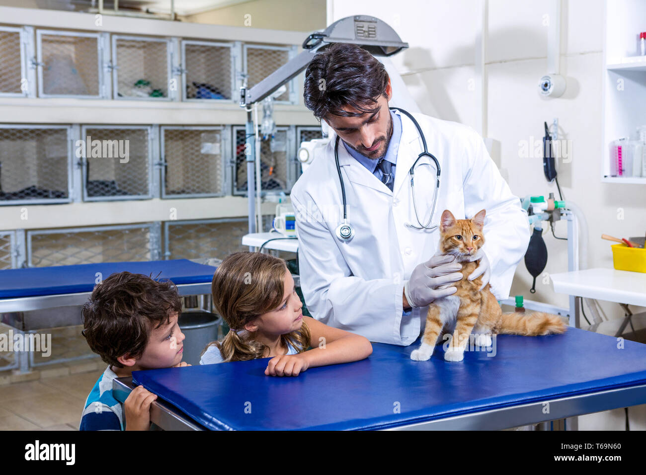 Vet taking care of a cat while two children are looking at the cat ...