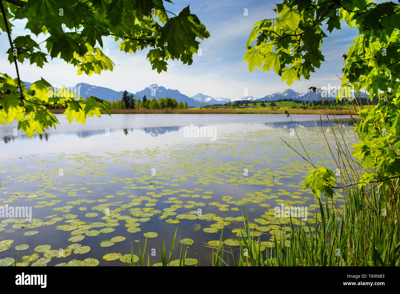wide panorama landscapes in Bavaria with lake and mountains Stock Photo ...