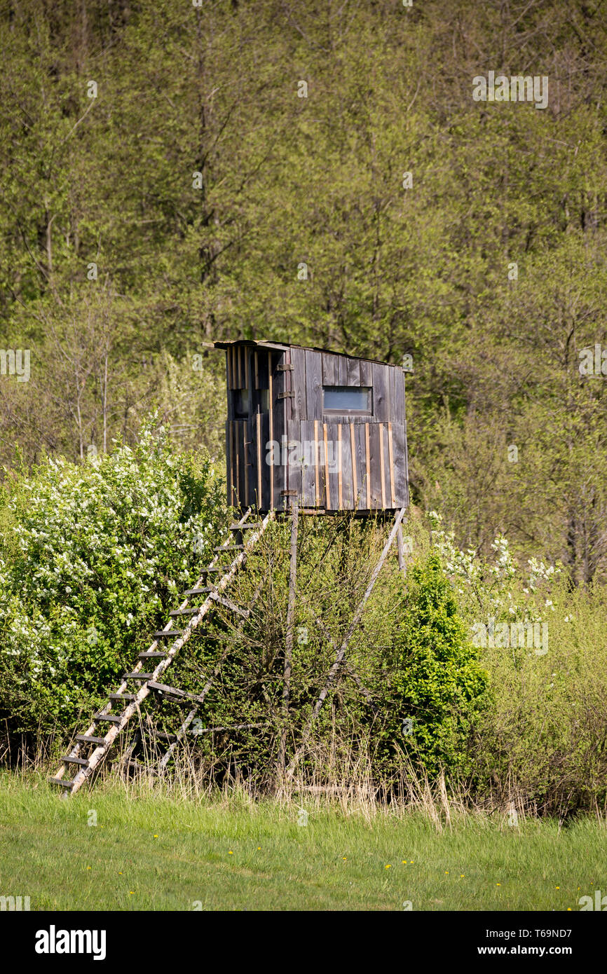Wooden Hunters High Seat, hunting tower Stock Photo - Alamy