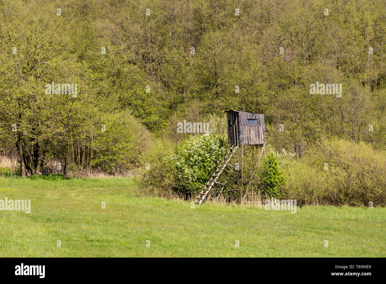 Wooden Hunters High Seat, hunting tower Stock Photo - Alamy