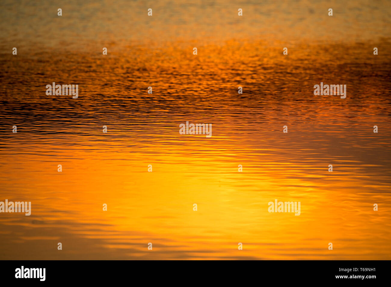 spring sunset reflecting in water Stock Photo - Alamy