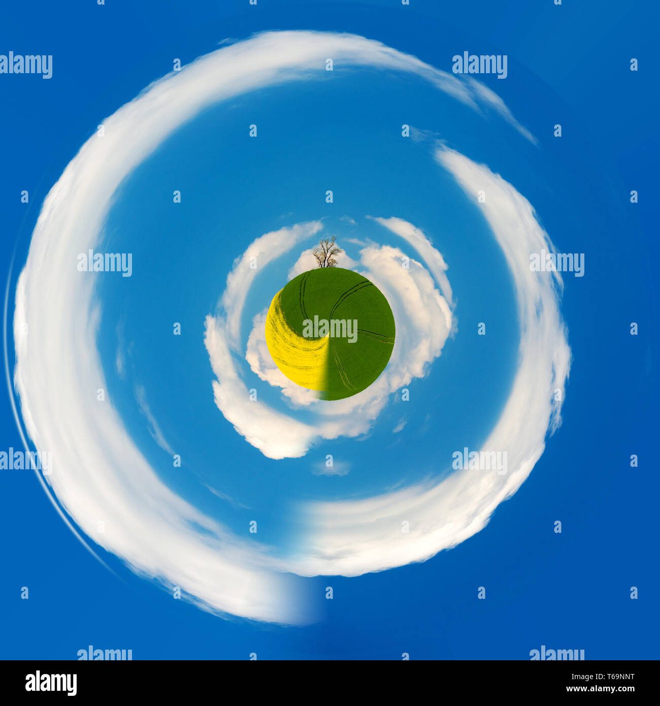 little planet of Beautiful summer rural landscape Stock Photo - Alamy
