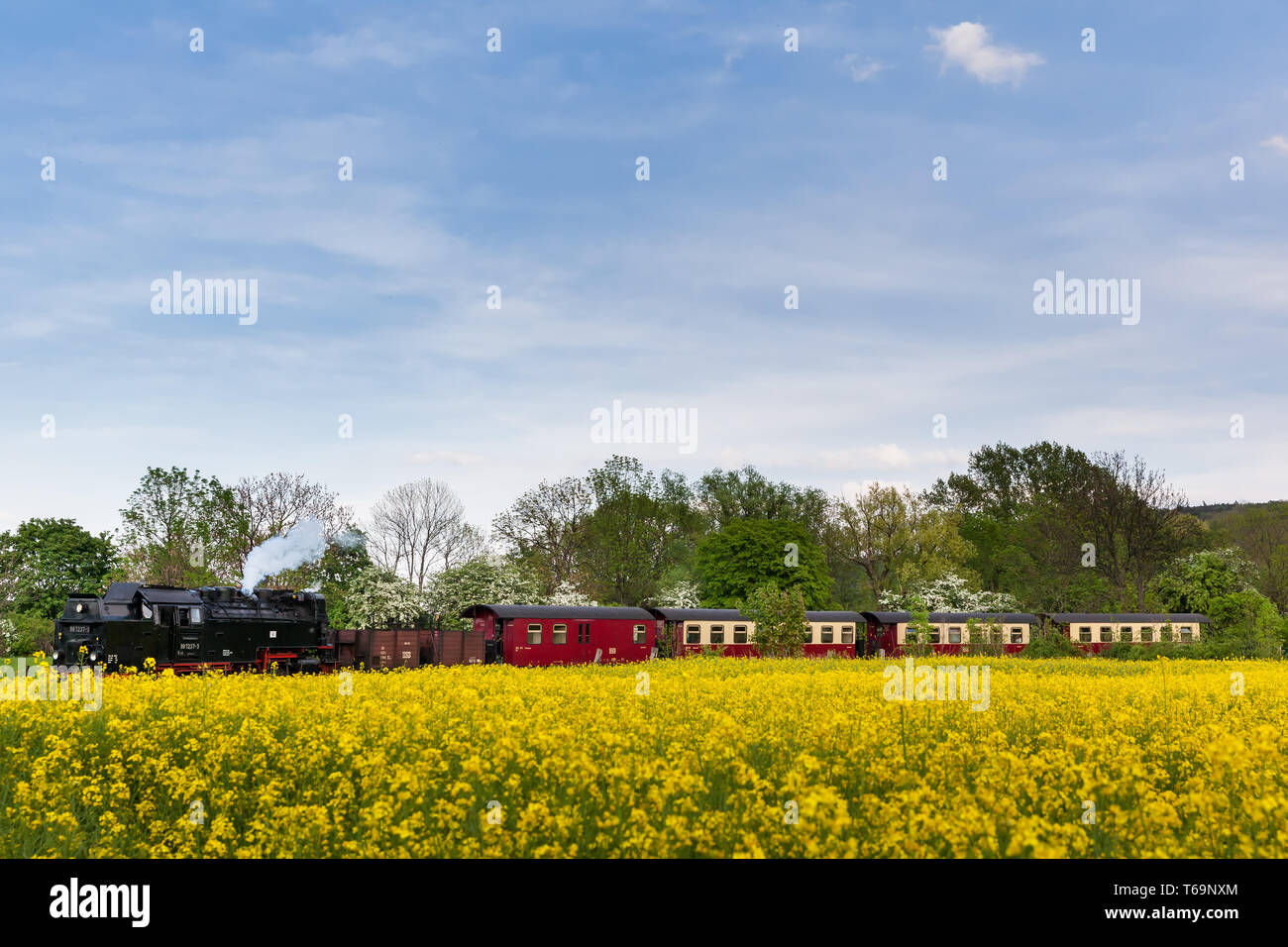 Narrow-Gauge Railway called Harzquerbahn, Selketal, Harz Mountains ...
