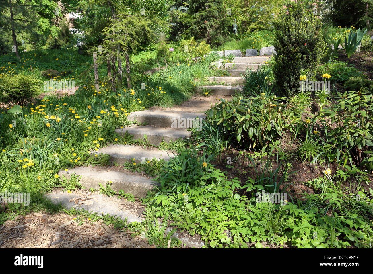 Garden stone steps hi-res stock photography and images - Alamy