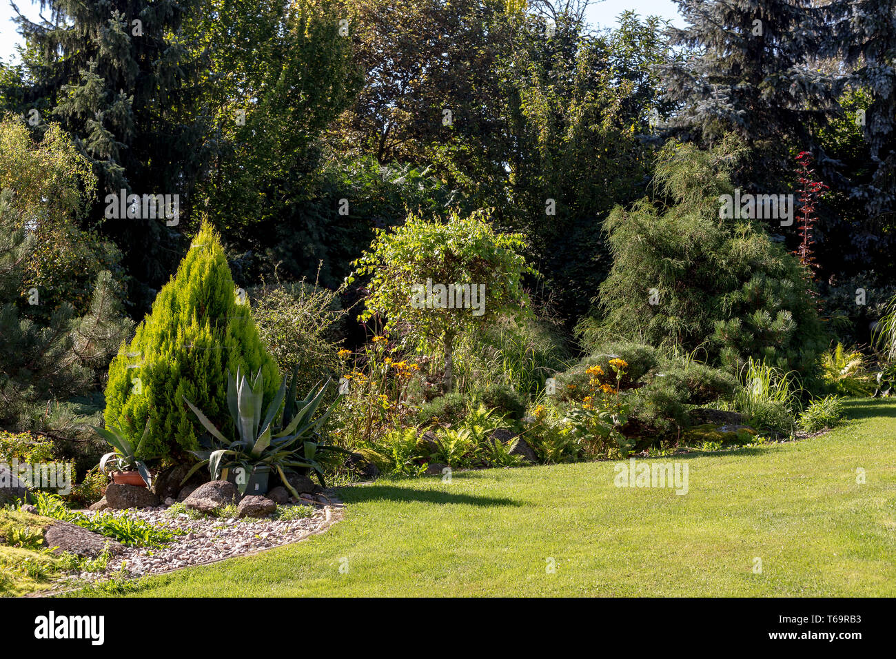 Beautiful summer garden design Stock Photo - Alamy