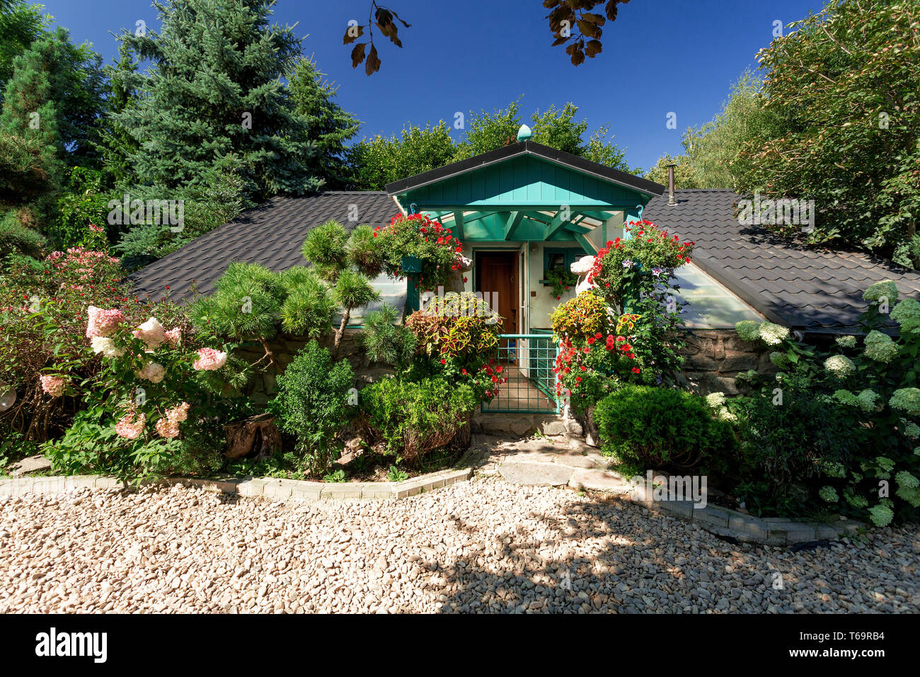 Dog baby house with flowers Stock Photo - Alamy