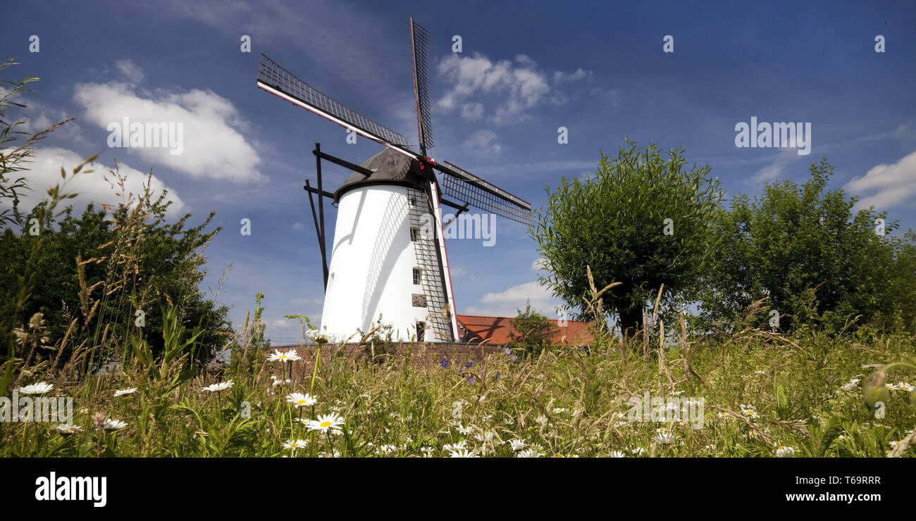 Kaarst buettgen hi-res stock photography and images - Alamy