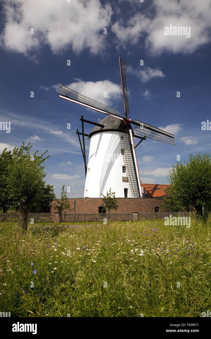 Dutch windmill type, landmark of Buettgen, Kaarst, Lower Rhine, North ...