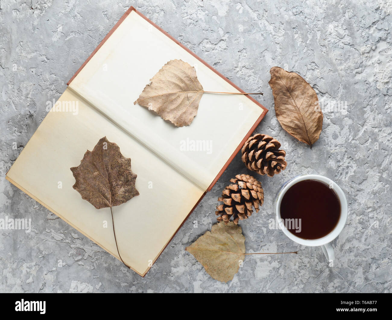 Tea when reading a book. Tea, a book, fallen leaves, bumps on a ...
