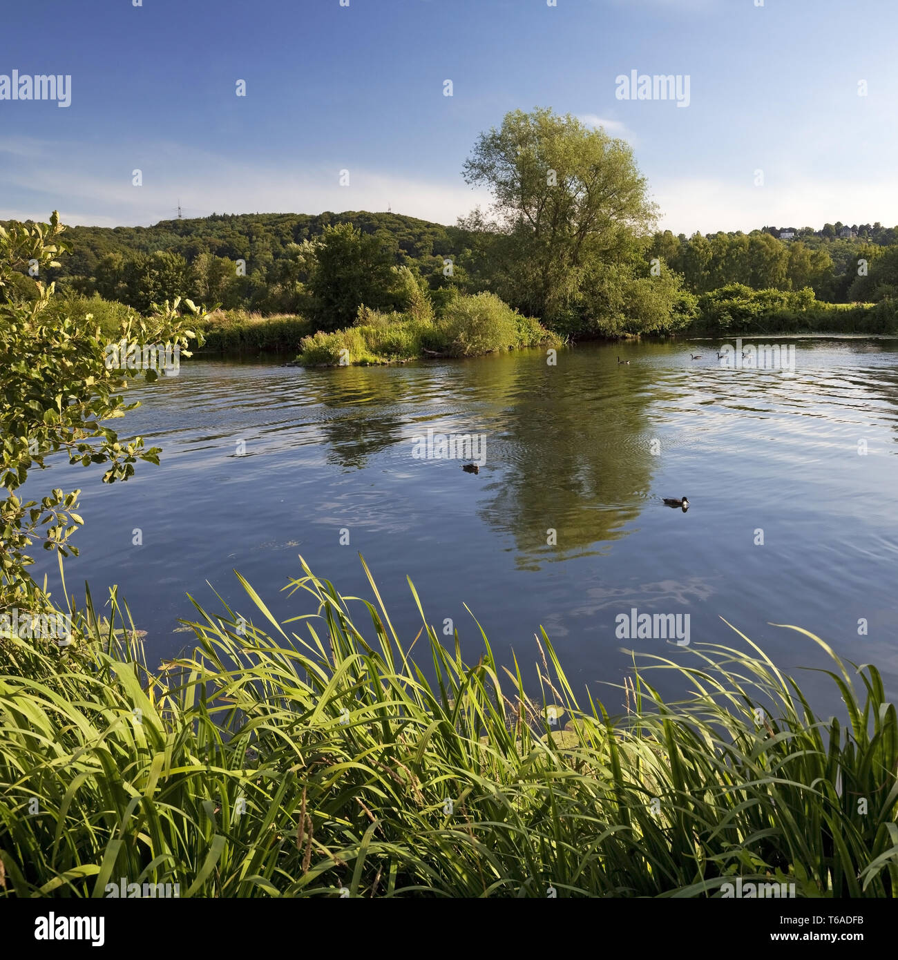 river Ruhr in Bochum, Germany, North Rhine-Westphalia, Ruhr Area ...
