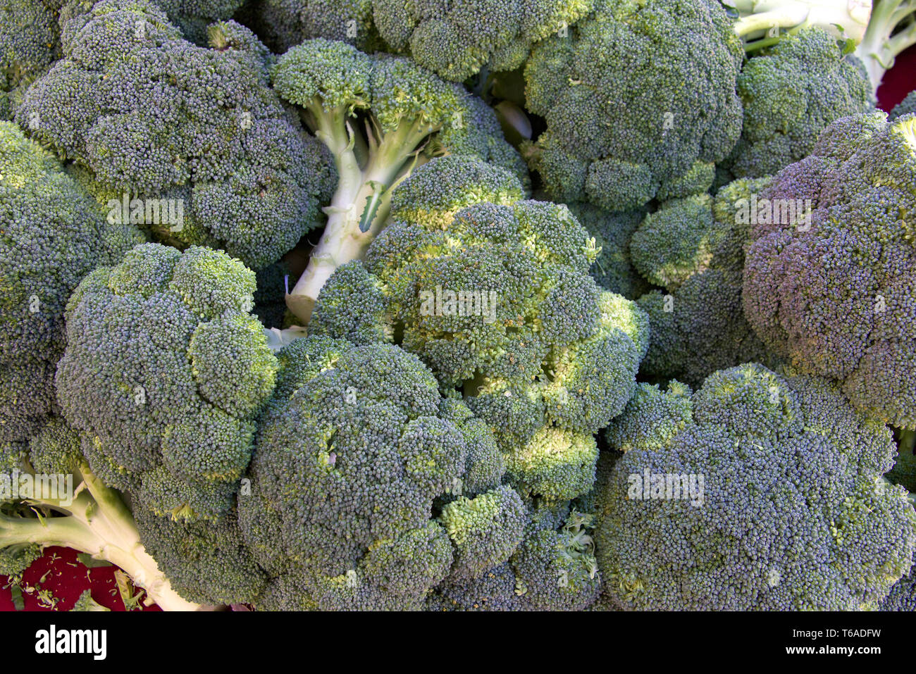 Heads of broccoli, close up on Farmers market table. Spring summer ...