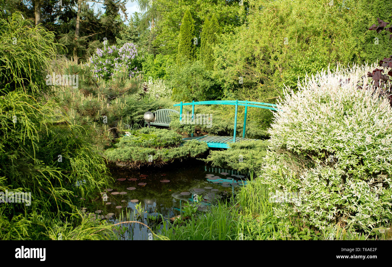 Footbridge over small pond hi-res stock photography and images - Alamy