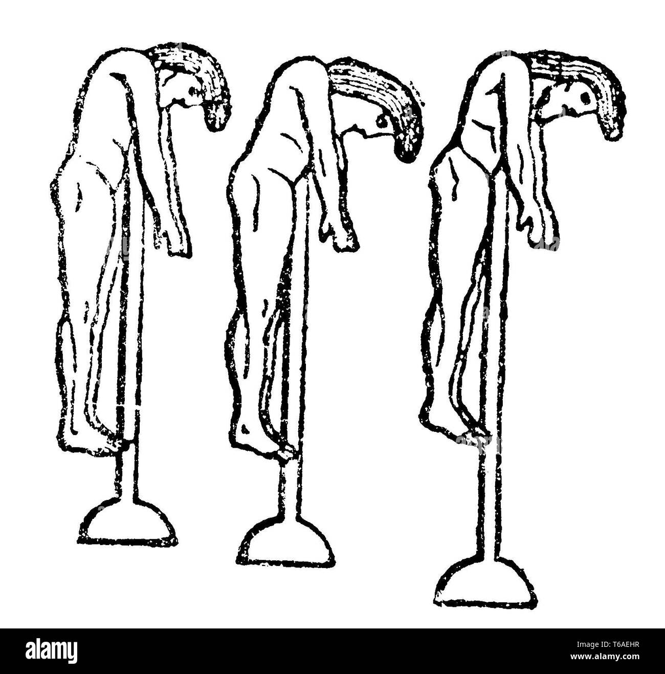 Impalement hi-res stock photography and images - Alamy