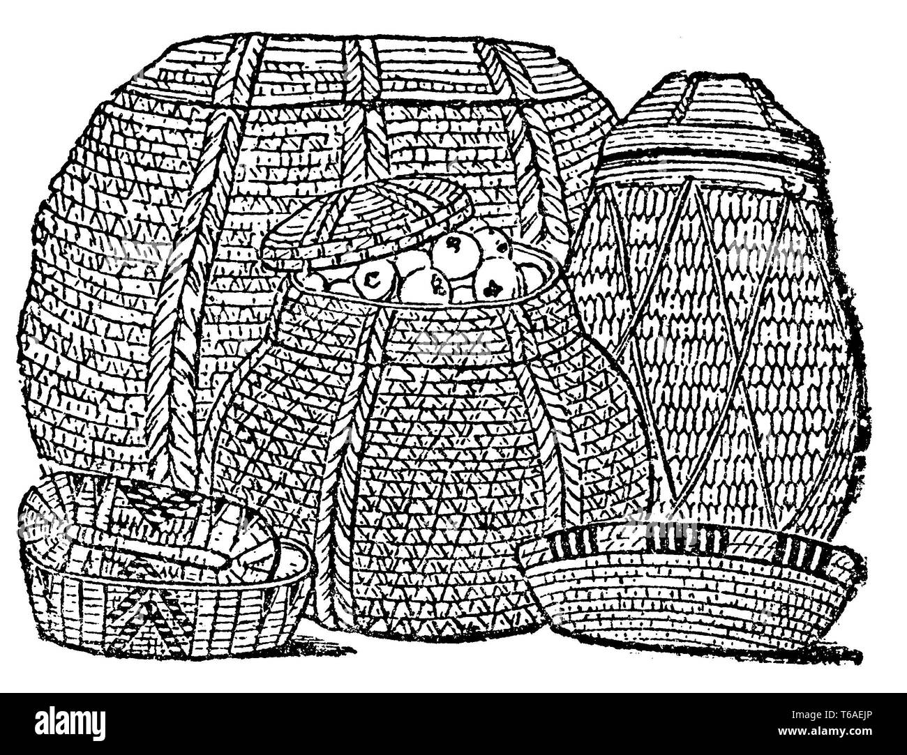 Ancient Egyptian baskets. After Wilkinson, 1885 Stock Photo - Alamy