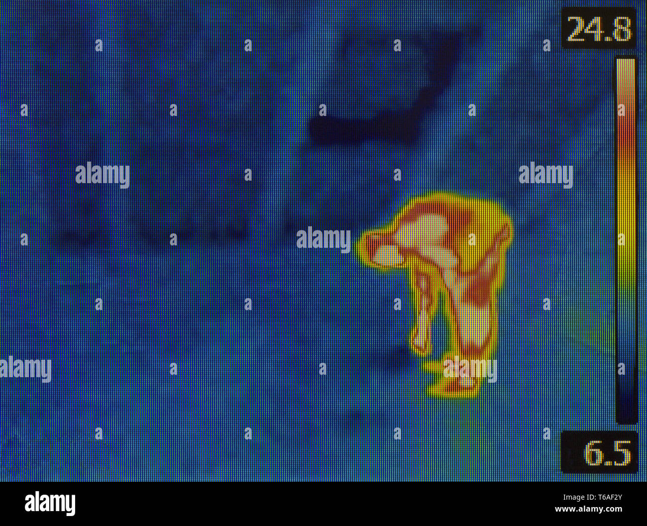 Human body infrared hi-res stock photography and images - Alamy