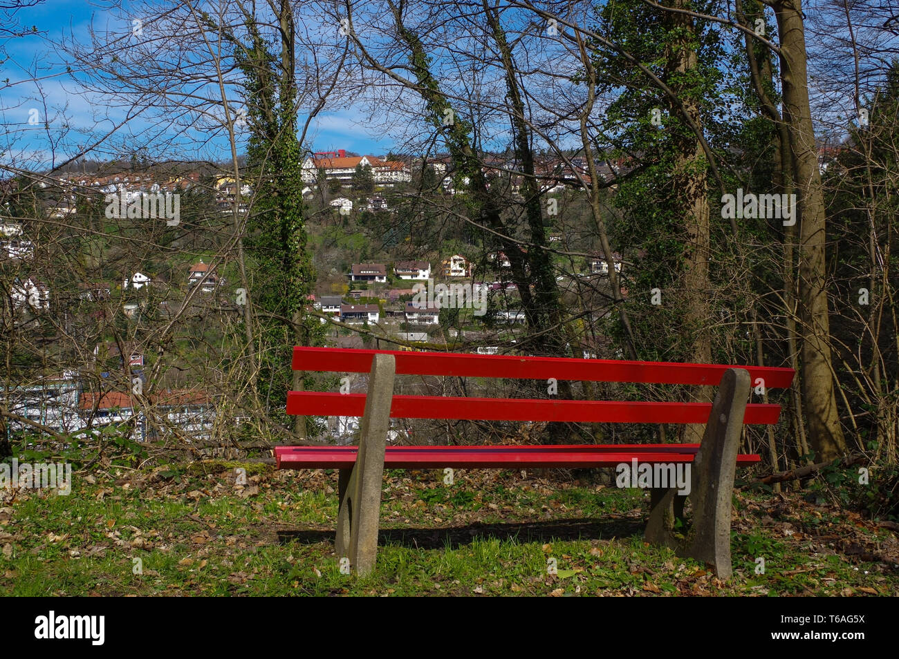 Empty bench trees in forest hi-res stock photography and images - Alamy