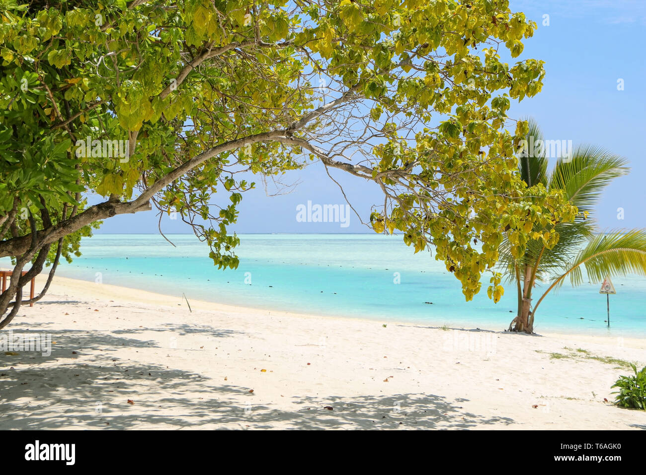 Maledive Island Stock Photos & Maledive Island Stock Images - Alamy