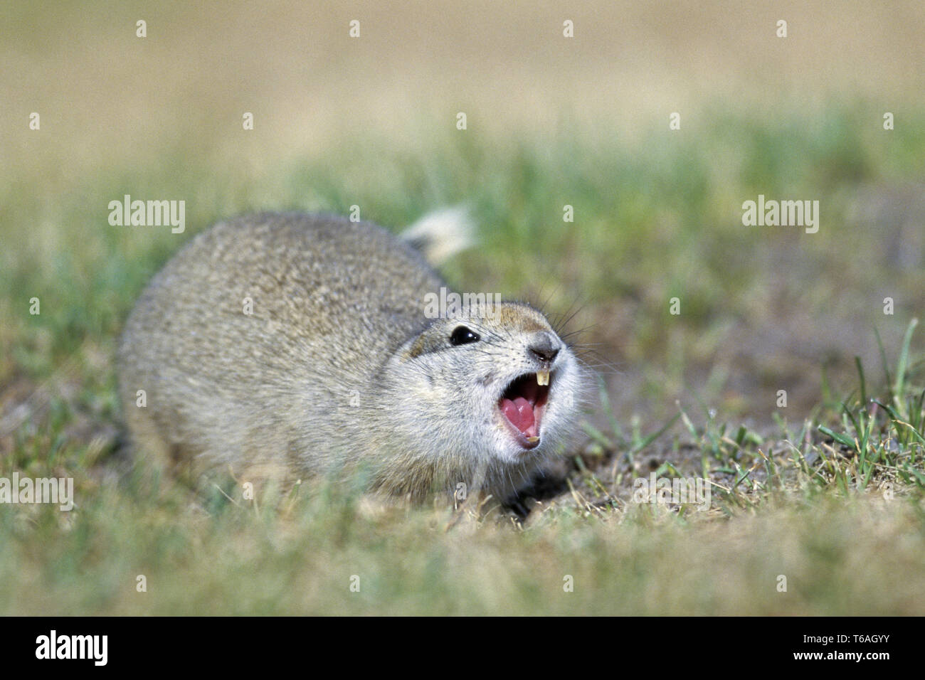 Warningly hi-res stock photography and images - Alamy