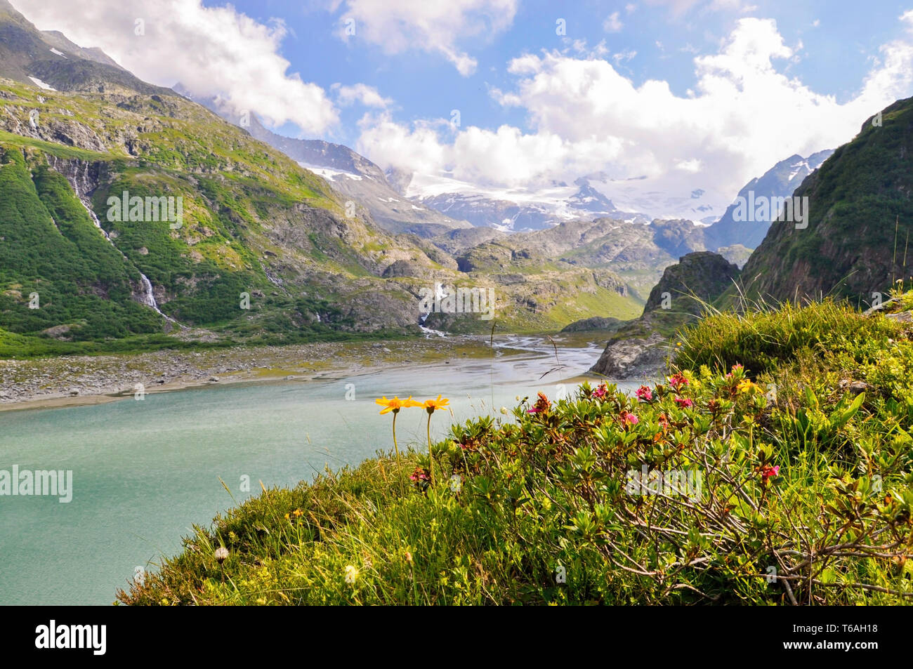 Switzerland mountain alpine hi-res stock photography and images - Alamy